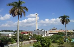 Harlem – azcuba